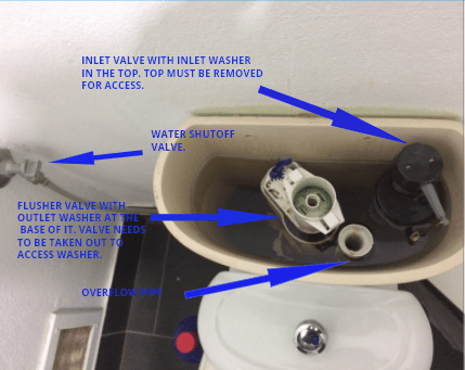 How to Save Water and Money | Perth Plumbing Advice